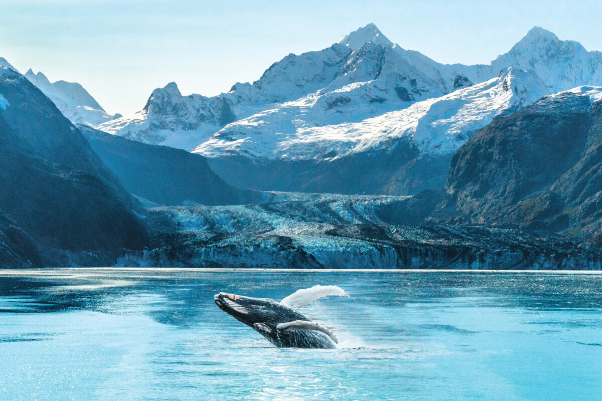 2025 Erskine College Alaska Cruise - Sovereign Cruises